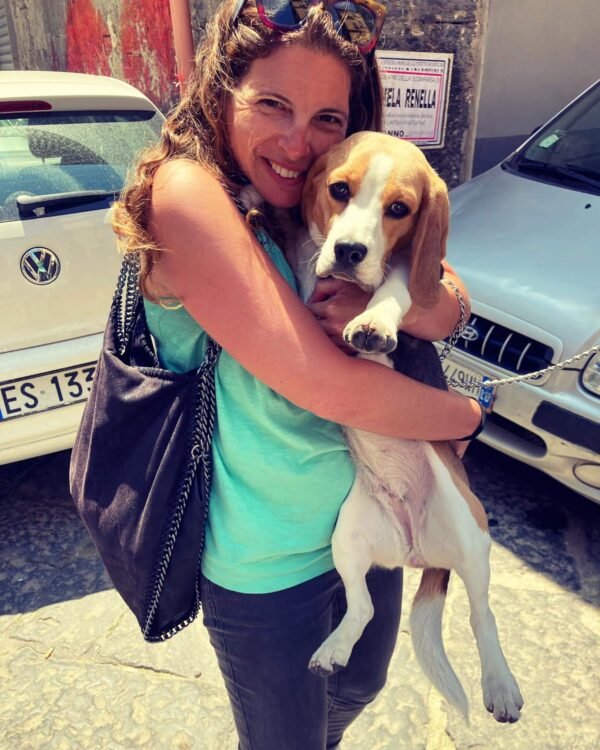 From Snoopy to Uno: The 7 Most Famous Beagles in Entertainment and Sports